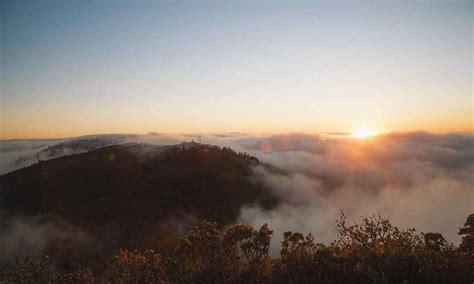 The Benefits Of Scalable Mobile App Development Strategies — Association Of Registered Web