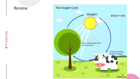 Lesson 12 Ecosystem And Stability Pptx