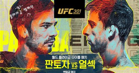 Ufc 플라이급 ‘챔피언 판토자 고향 브라질서 얼섹과 2차 방어전‘전설 알도 옥타곤 복귀