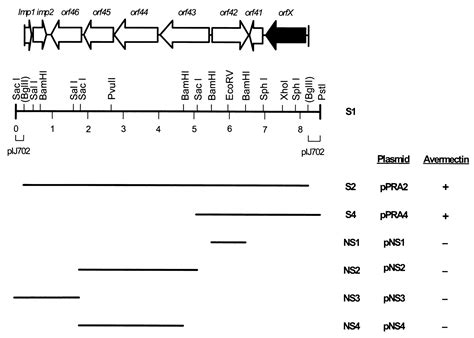 Cloning And Analysis Of A Dna Fragment Stimulating Avermectin