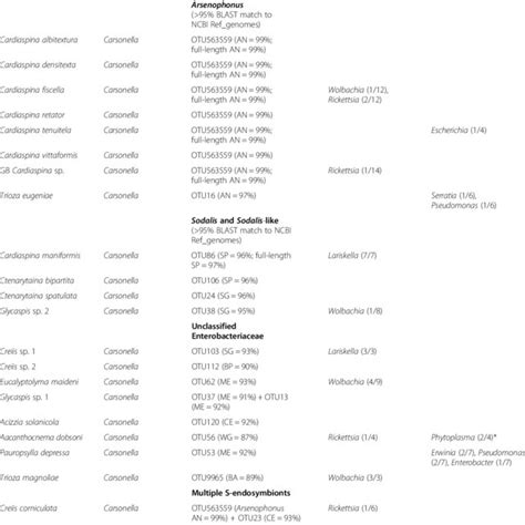 Bacteria Identified By 16s Rrna Gene Amplicon Sequencing Download Table