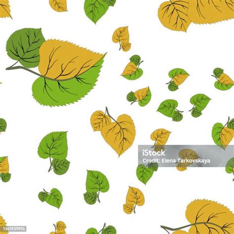 매끄러운 패턴 여름 가을 린든 잎 틸리아 유로파에아 일반적인 린든 흰색 배경에 벡터 녹색 잎 흰색 배경에 약용 식물 식물 벡터