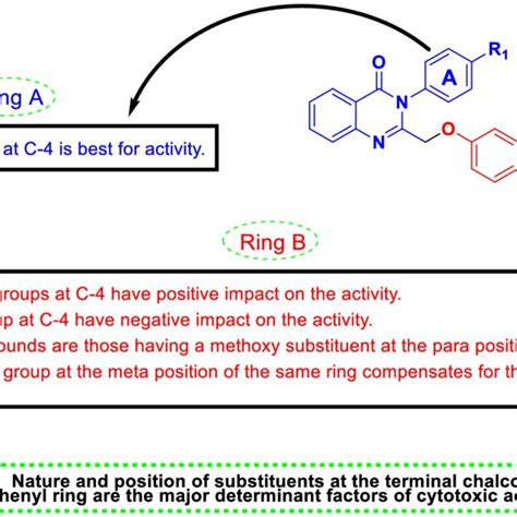 Sar Representation Of The Novel Hybrids 13 43 As Suggested Potential Download Scientific
