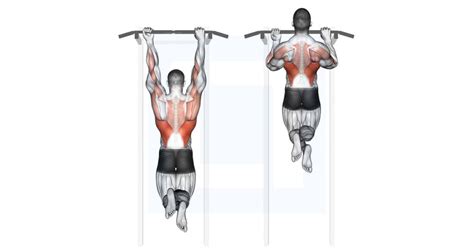 Assisted Parallel Close Grip Pull Up Guide Benefits And Form