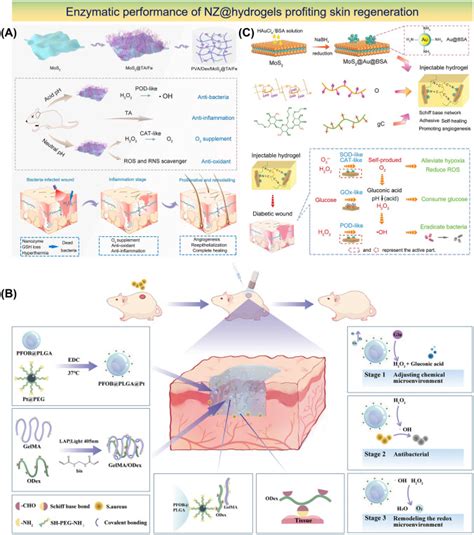 Nanozyme Engineered Hydrogels For Anti Inflammation And Skin