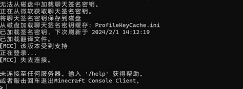 Bug Server Log Netty Server Io 24 Connection Exception