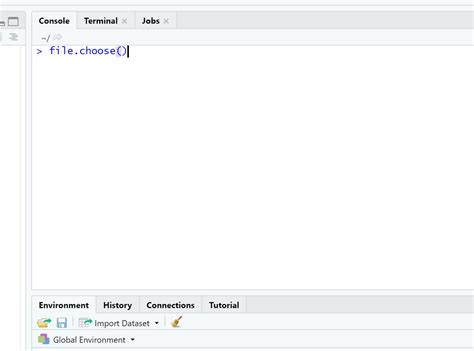 How To Use Filechoose In R With Example