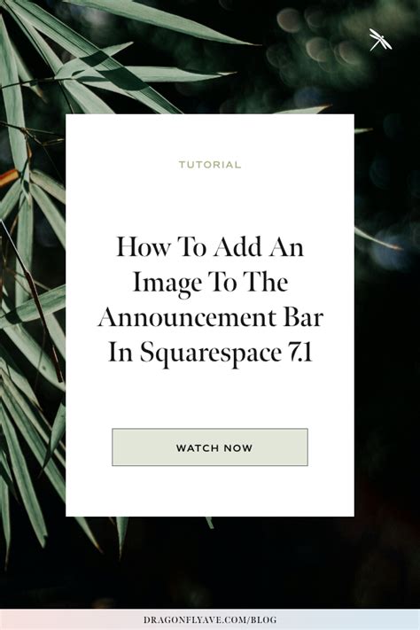 How To Add An Image On The Announcement Bar In Squarespace 7 1