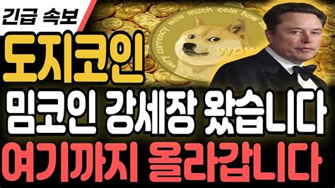 도지코인 전망 밈코인 강세장 왔습니다 여기까지 올라갑니다도지코인 도지코인전망 도지코인분석 비트코인 밈코인