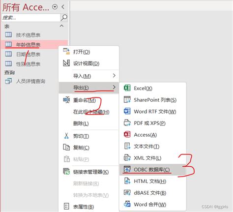 access2019直接将数据导入sql server数据库中 再直接链接回来 access如何将文件导入数据库 csdn博客