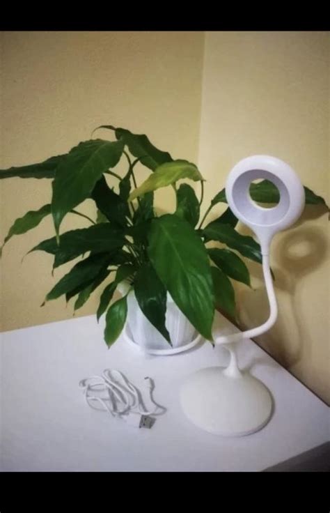 Лампа акумуляторна — ціна 400 грн у каталозі Настільні лампи Купити товари для дому та побуту за