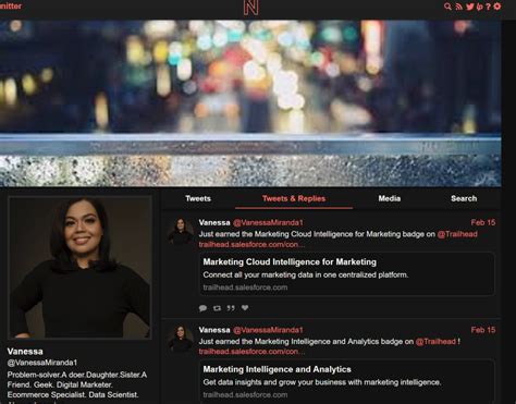 The New Twitter Nitter