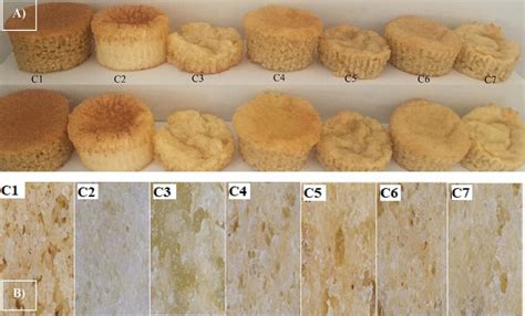 Cake Photos A And Microstructure Of Cakes B Download Scientific Diagram