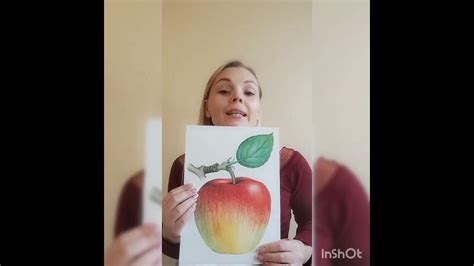 Заняття Ягоди та фрукти для дітей старшого дошкільного віку Youtube