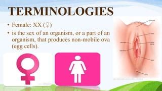 Gender Sexuality SEX Pptx