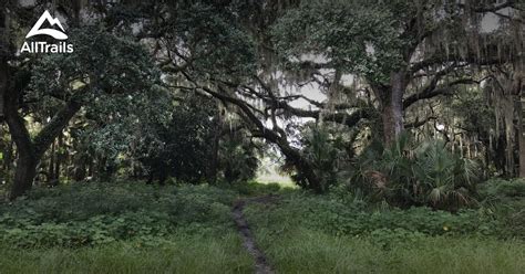 Best Hikes And Trails In Lake Jesup Conservation Area Marl Bed Flats