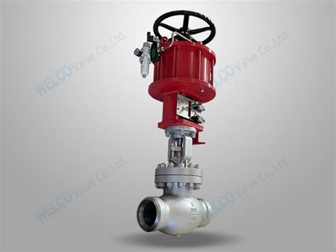 flow control valve with motor operated flow control valve