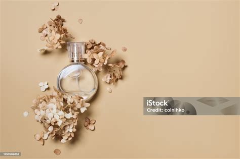 베이지 색 배경에 둥근 향수 병 모형과 마른 수국 꽃 자연 흙 색 복사 공간 향수 미용 위생 제품에 대한 스톡 사진 및 기타 이미지 향수 미용 위생 제품 가을
