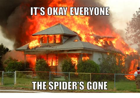 House Burned Down Spider Meme At Brandon Myers Blog
