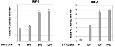 Hematopoietic Stem Cells And Response To Interferon Intechopen