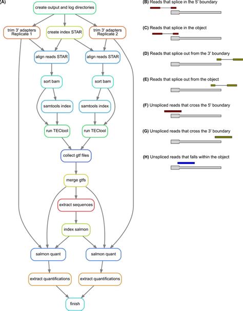 Tectool Analysis For Bulk Single End Or Paired End Rna Seq Reads A