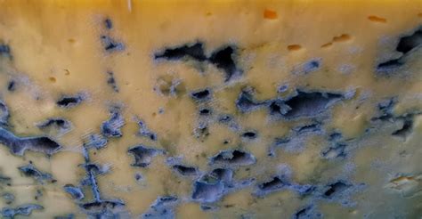 Premium Photo Closeup Of Moldy Cheese Texture