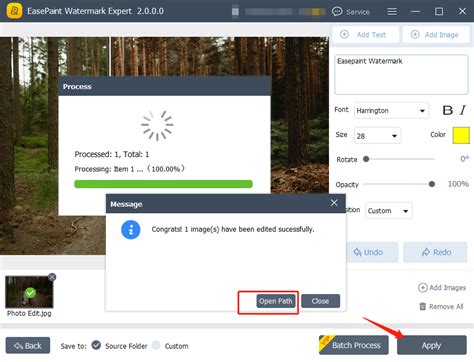 How To Add Text Watermark To Photo Easepaint Watermark Expert