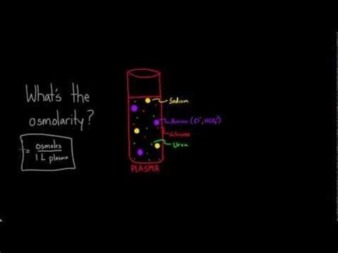Calculate Your Own Osmolarity
