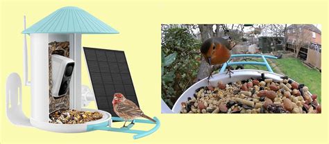 Review Of The Netvue Birdfy Smart Bird Feeder Camera Life With Jo