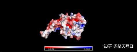 同源建模预测蛋白质三维结构（swiss Model Pymol零基础教程） 知乎
