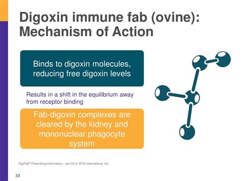Ppt Digoxin Toxicity Powerpoint Presentation Free Download Id 2420769