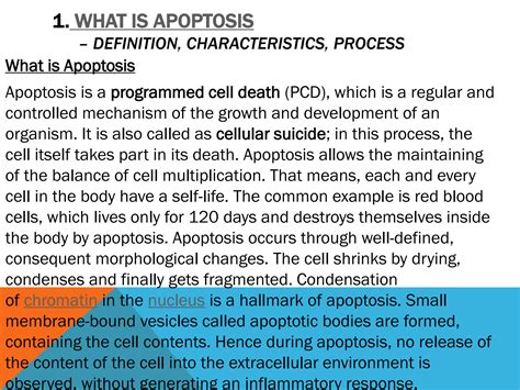 SOLUTION Differences Between Apoptosis And Necrosis Studypool