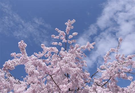 Tiny Stories In The World