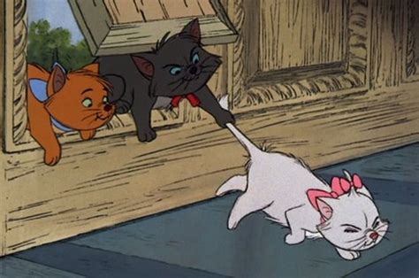 10 Disney Cat Names In The Aristocats Artofit