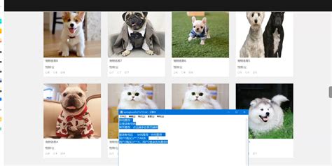 基于springboot vue 数据可视化 协同过滤推荐算法的宠物管理系统设计和实现 源码 lw 部署讲解 csdn博客