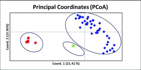 Principle Component Analysis Pca Of Ginger Genotypes Based On 12