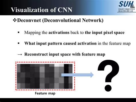 visualizaing and understanding convolutional networks pptx