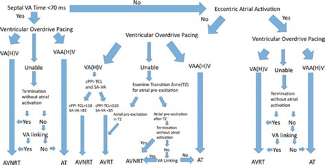 How To Rapidly Diagnose Supraventricular Tachycardia In The Electrophysiology Lab Thoracic Key