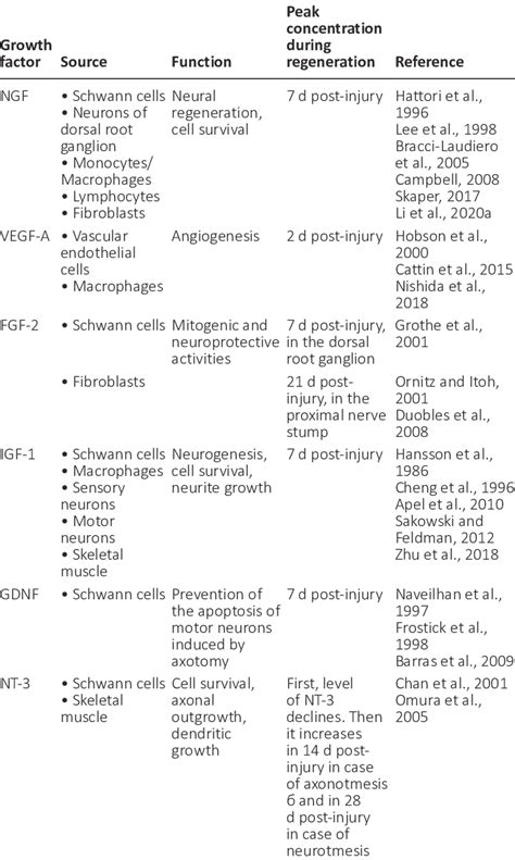 Growth Factors Involved In Peripheral Nerve Regeneration Download