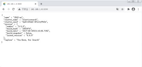 elasticsearch未授权访问漏洞 rab3it 博客园