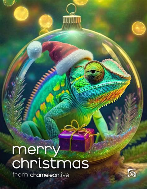 Im Sure Many Will Have Overdosed On Christmas Messages But I Hope It Is Ok To Send Out One With