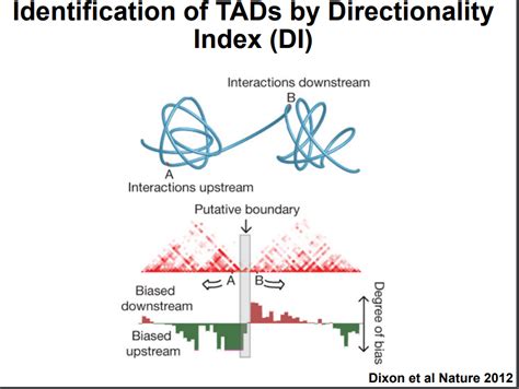 11 genome assembly 2 bch709 introduction to bioinformatics