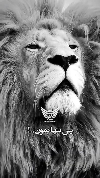 ارباب سخن Youtube