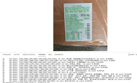 c 推理代码报错 Issue PaddlePaddle PaddleOCR GitHub