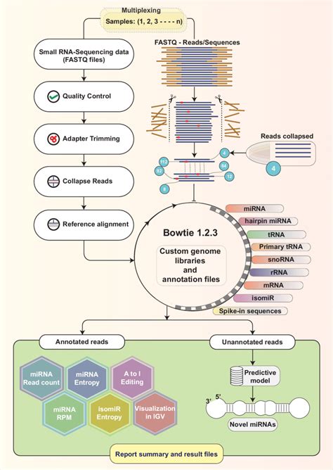 an overview of mirge3 0 workflow a sample or samples fastq fastq gz