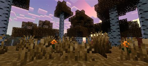 Newb Complemetary Shader Now Support On Windows In 1 21 111 Minecraft Bedrock Texture Packs