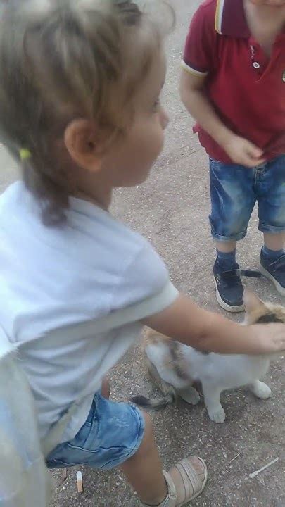 قطة قطه راحت على الشرطة 🤭🤭 هلق هيه بورطة Youtube