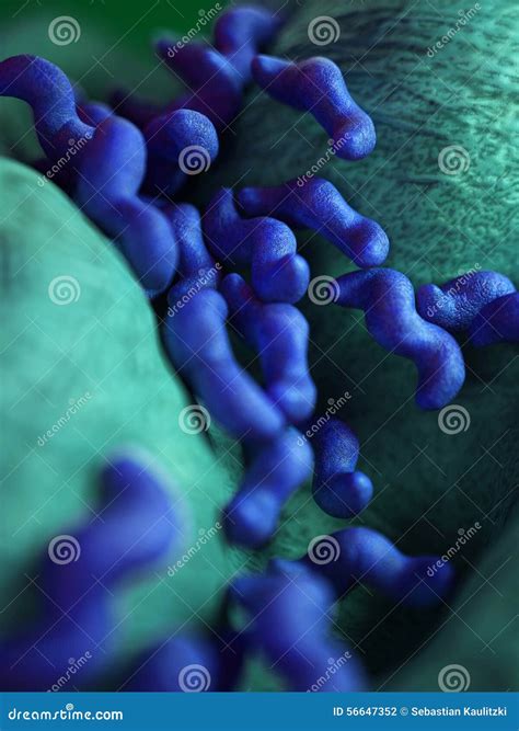 The Campylobacter Close Up Stock Illustration Illustration Of Close Sick 56647352