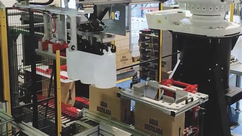 Robotized Packing And Palletizing Cell