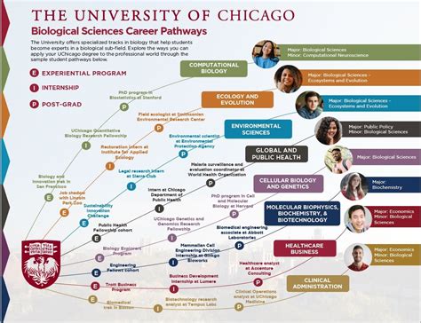 Exploring Careers In Biology Future Skills